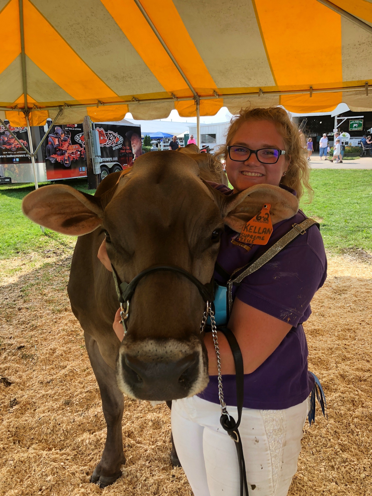 Brown Swiss Association